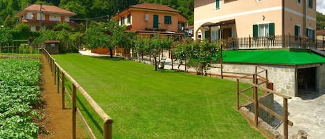 Área da propriedade