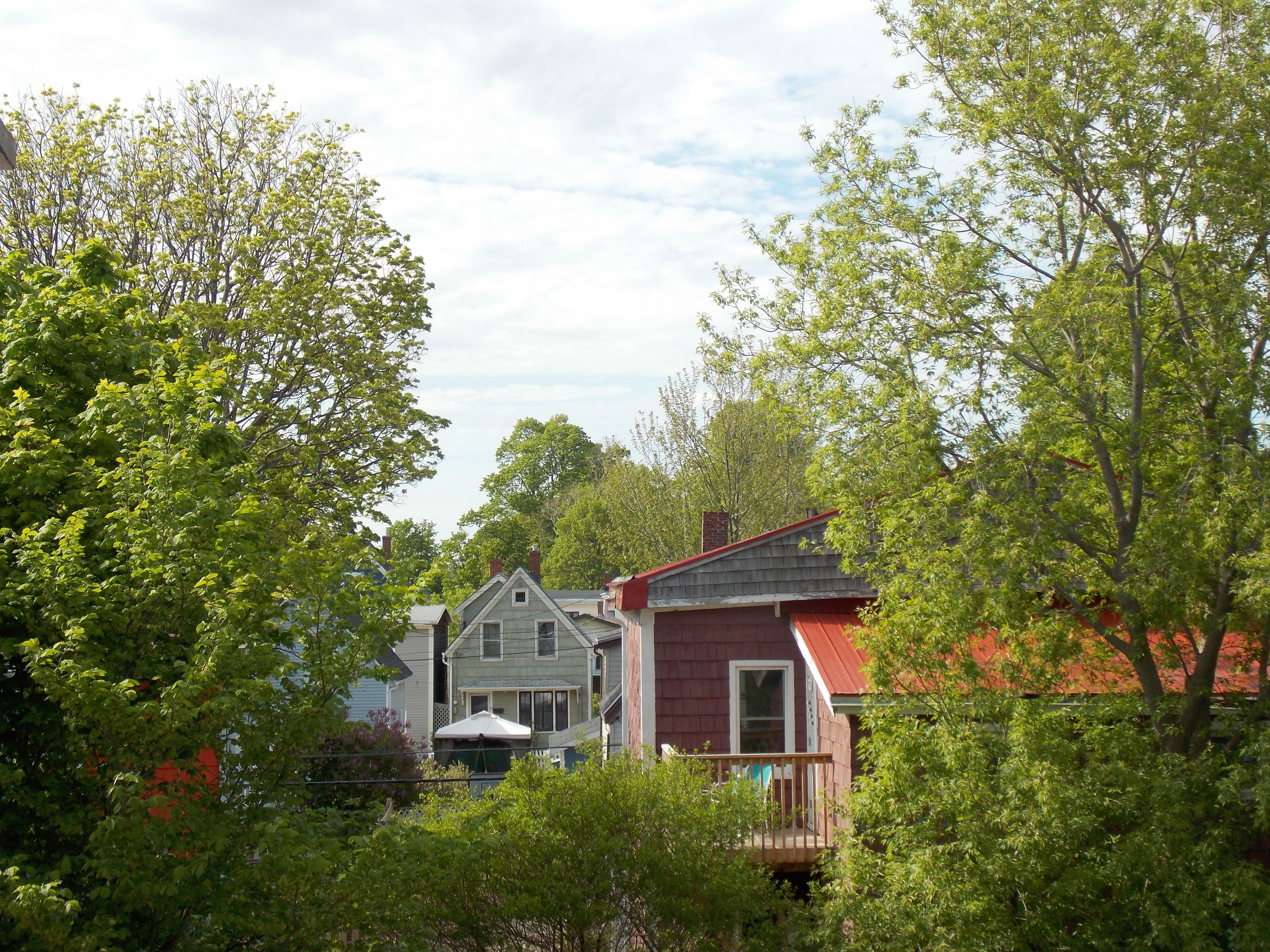 Área residencial com casas cercadas por vegetação exuberante.