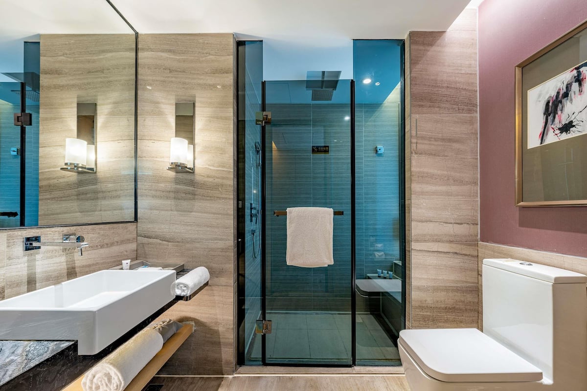 Roupa de alta qualidade, edredões de penas, minibar, cofre no quarto