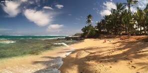 Uma praia com águas azul-turquesa cristalinas, areal arenoso e palmeiras.