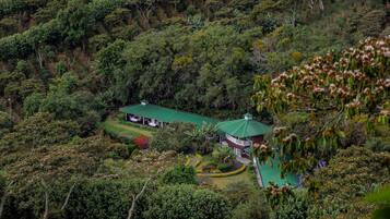 Uma casa rodeada por uma floresta densa, com telhado verde e um pequeno jardim.