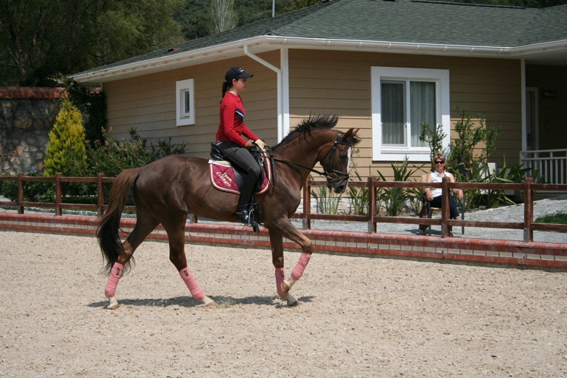 Um cavalo com faixas rosa nas pernas sendo montado por uma pessoa vestida de vermelho.