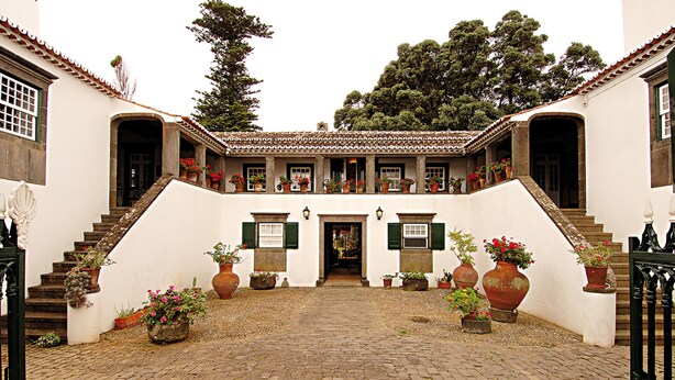 Um pátio com escadaria central, plantas em vasos e um edifício com telhado de azulejos e colunas.