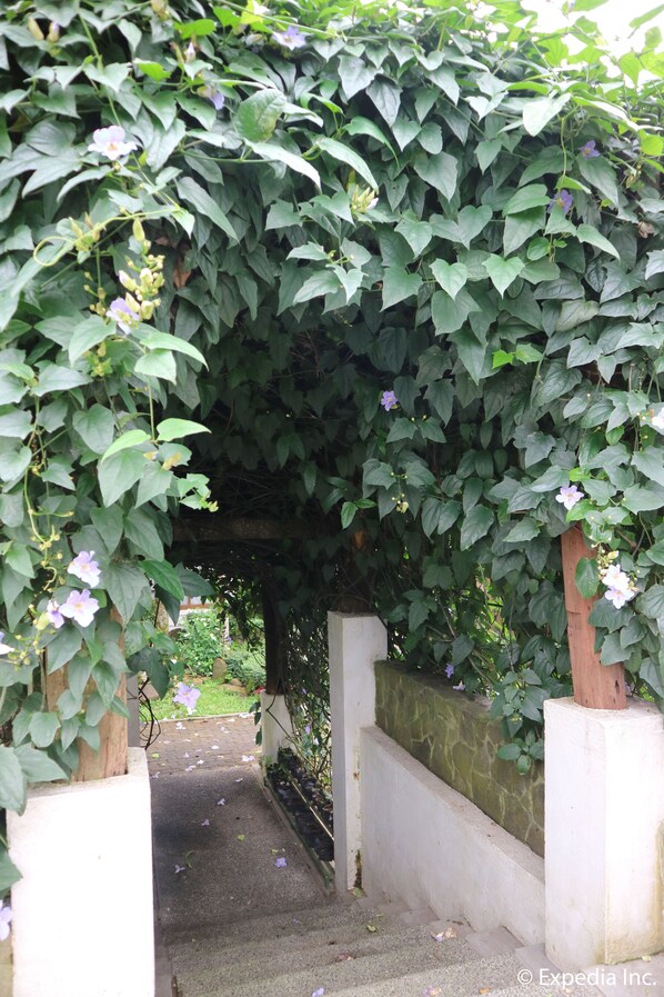 Um caminho no jardim sob um arco coberto por trepadeiras, com uma parede de concreto de um lado e um poste de madeira do outro.