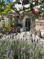 Pátio com plantas de lavanda, uma parede de pedra e a entrada de um edifício.