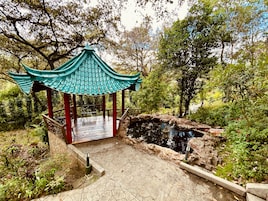 Jardim