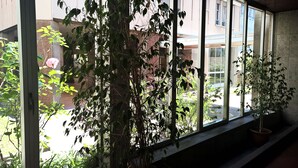 Janela com vista para um edifício e alguma vegetação lá fora.
