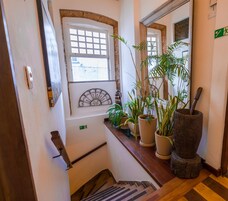 Uma escadaria com corrimão, plantas em vasos, um detalhe metálico decorativo e um sinal de saída de emergência verde.