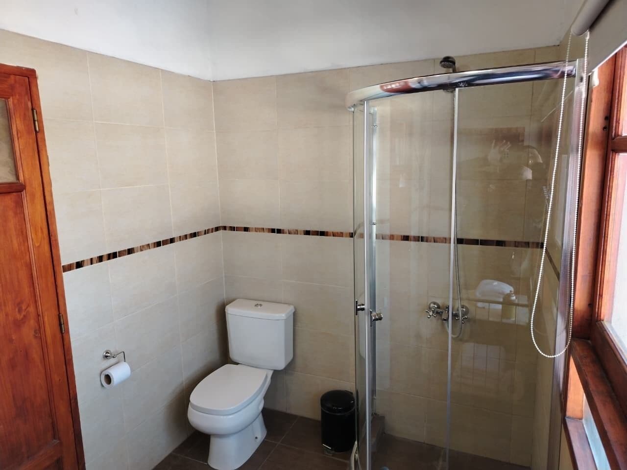 Casa de banho com sanita, cabine de duche envidraçada e chão em mosaico.
