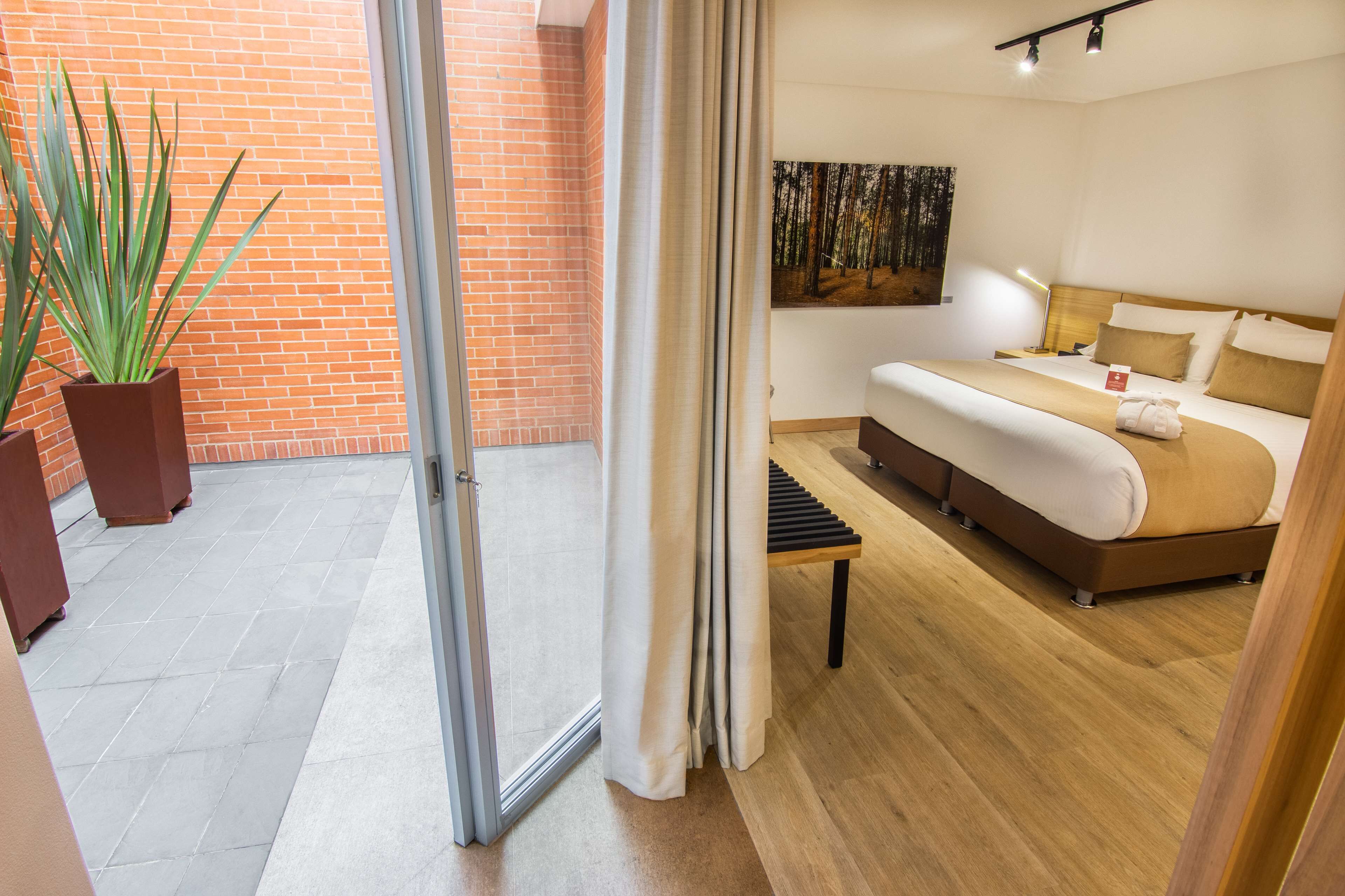 Quarto de hotel moderno com uma cama grande, um quadro na parede e uma planta em vaso junto à janela.