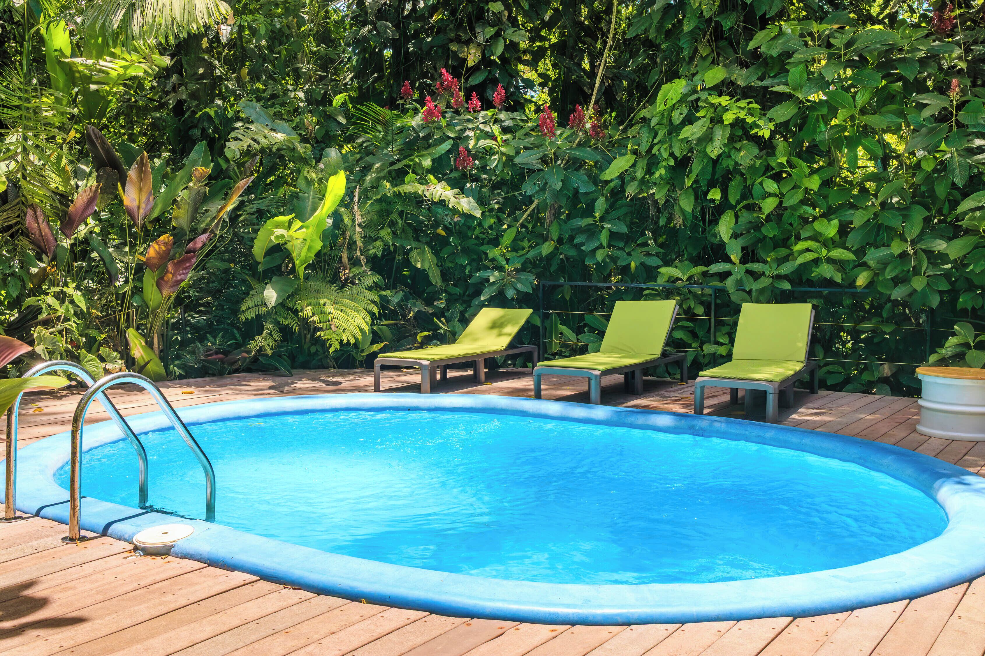 Piscina externa com deck de madeira, cercada por vegetação exuberante e três espreguiçadeiras verdes.