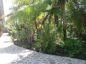 Área da propriedade