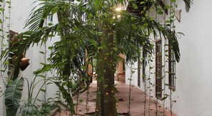 Terrenos do alojamento