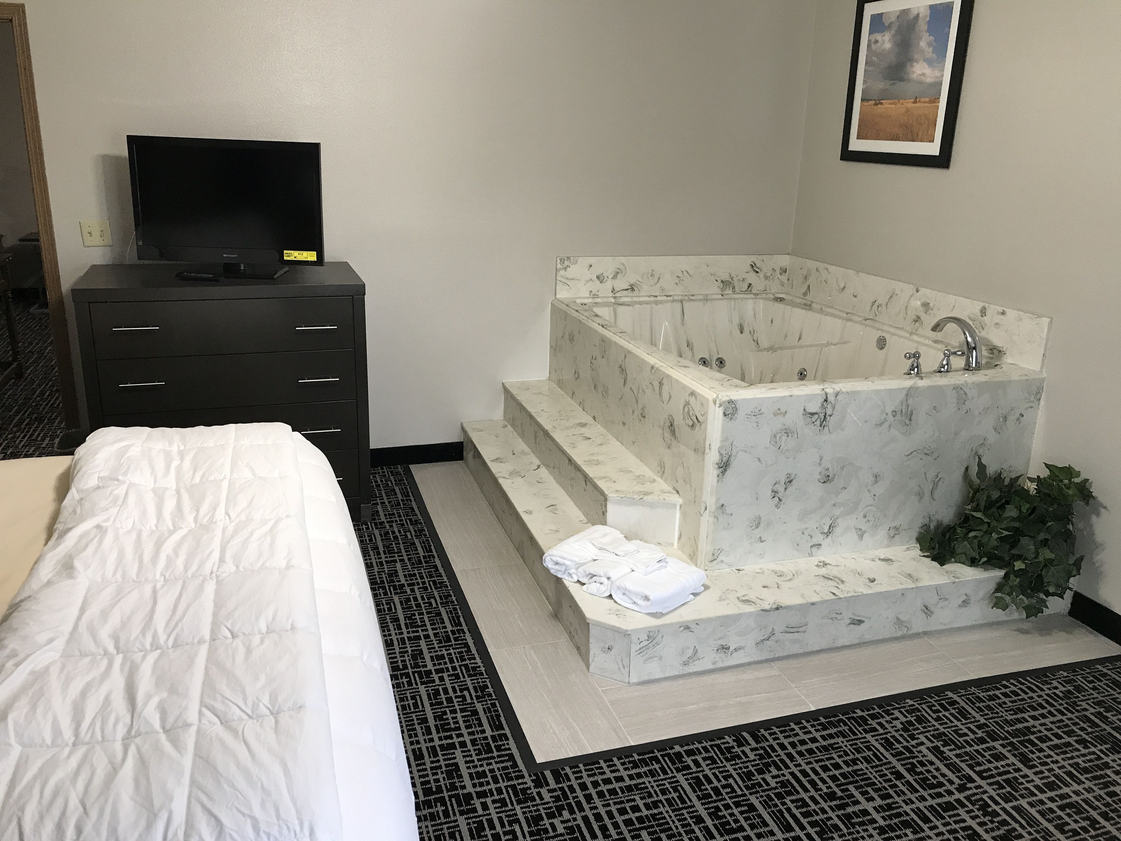 Quarto de hotel com cama, televisão, banheira de mármore e uma pequena planta.