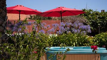 Uma área de jardim com guarda-sóis vermelhos, um banco de madeira e flores roxas.
