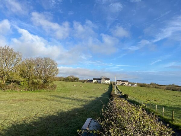 Ty Dderw Country Inn - Anglesey
