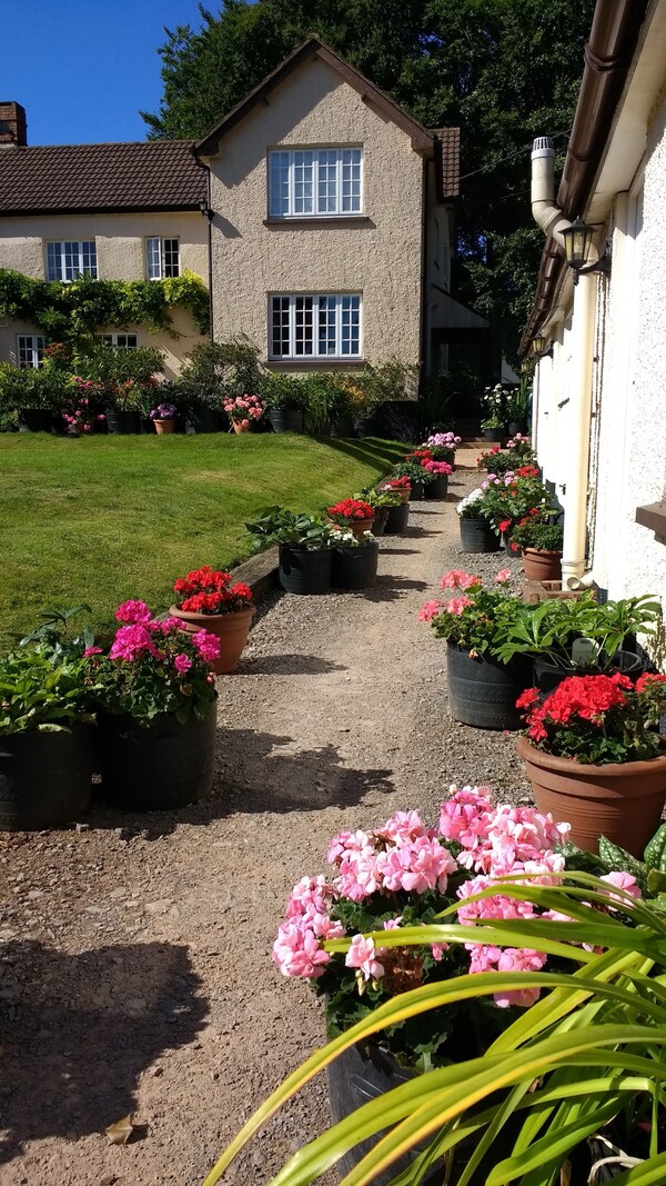 Brambles Bed And Breakfast - Somerset