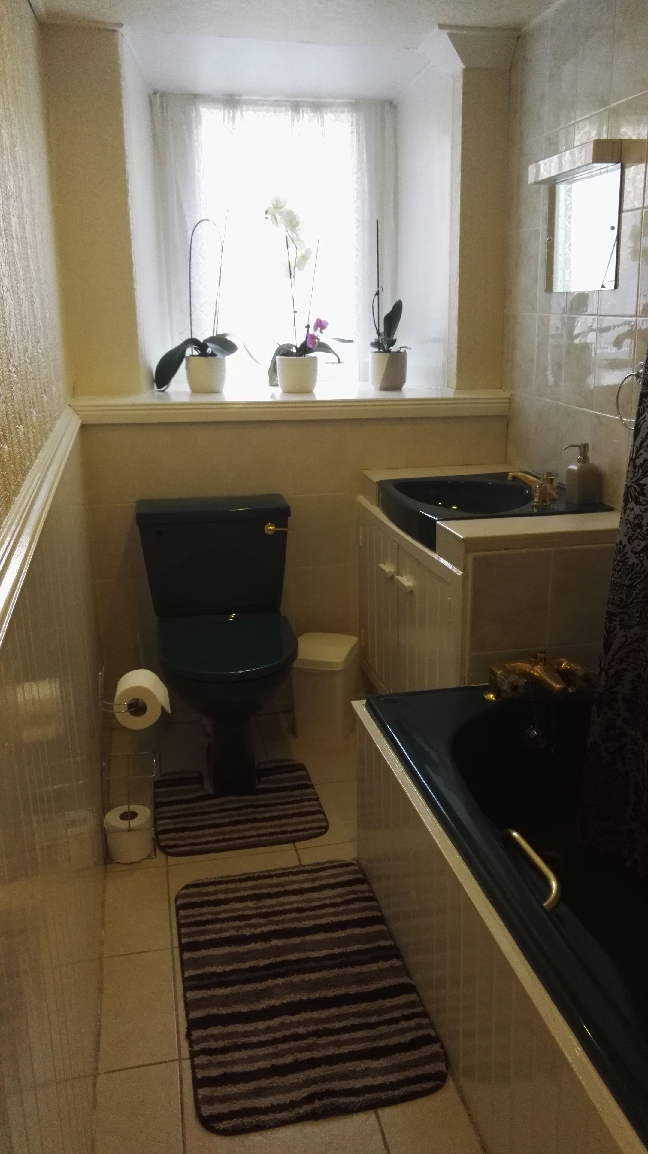 Casa de banho compacta com sanita, lavatório e banheira. Há plantas em vasos no parapeito da janela e um tapete listrado no chão.