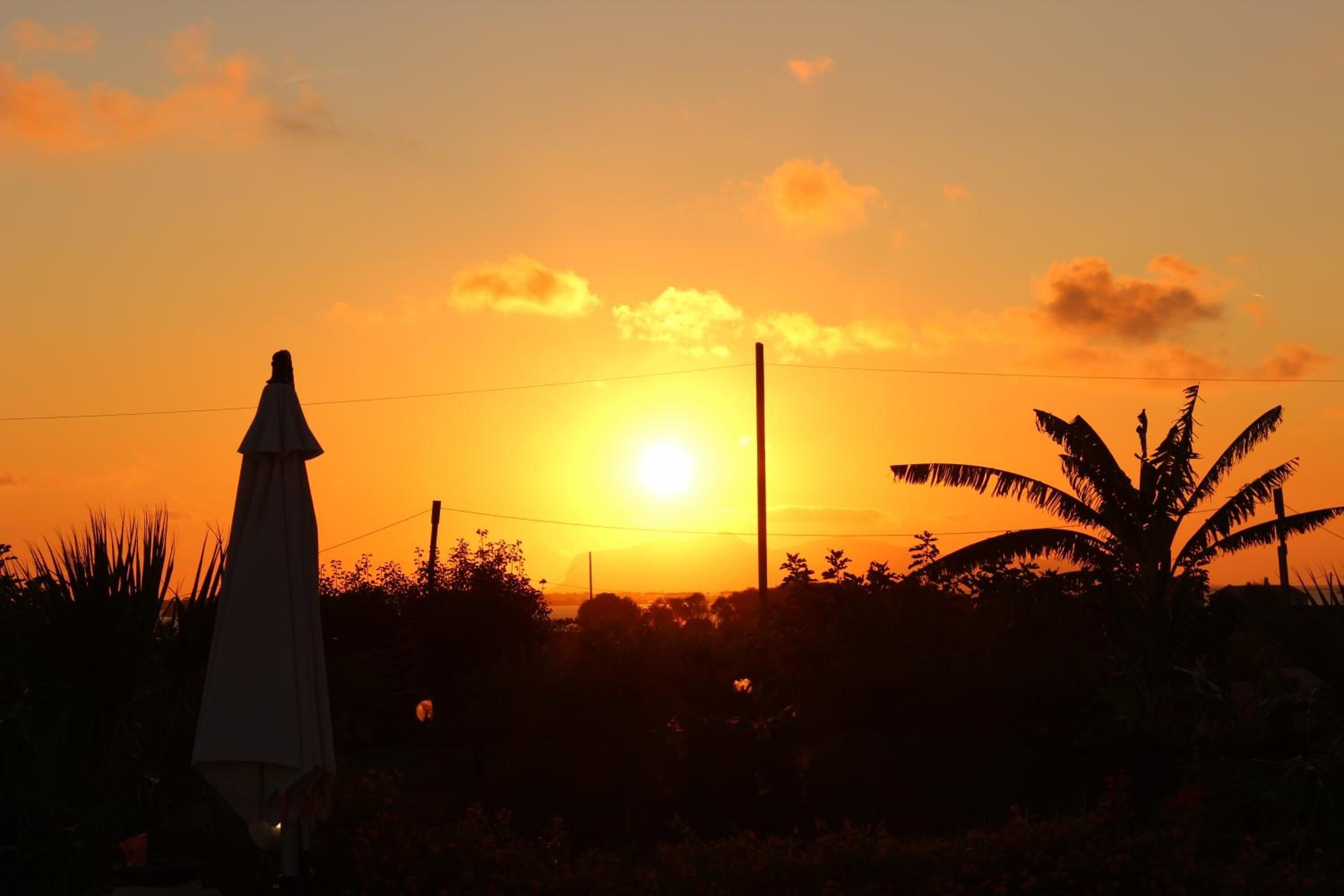 Pôr do sol com silhueta de uma palmeira e uma construção contra um céu vibrante.