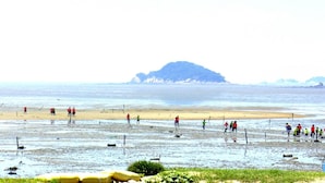 Uma praia com pessoas usando jaquetas vermelhas e verdes, areal arenoso e uma ilha ao longe.