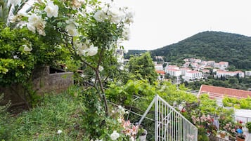 Jardim