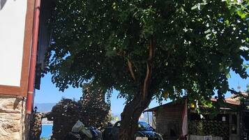 Estacionamento grátis