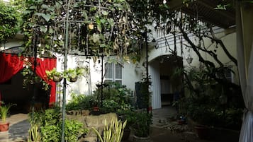 Jardim