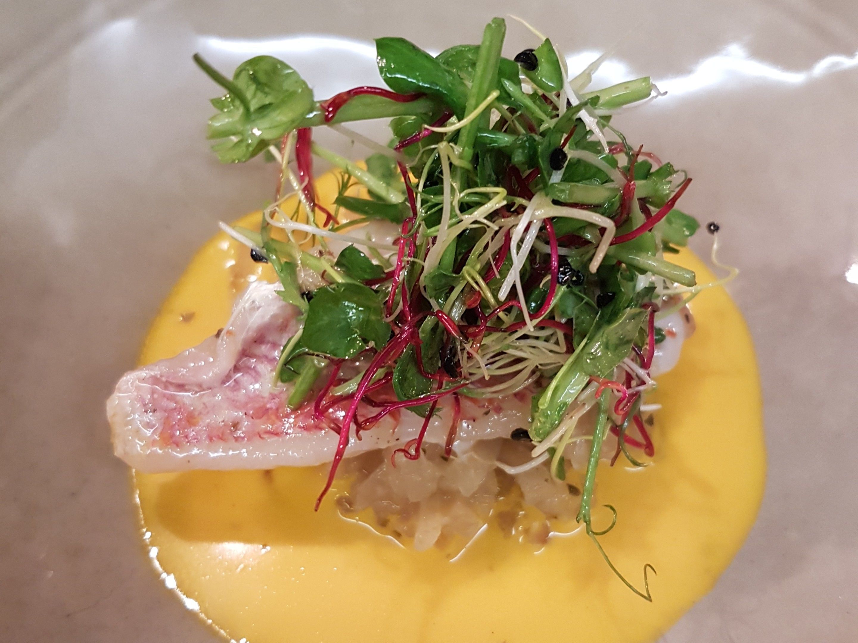 Prato com carne, vegetais e molho amarelo.
