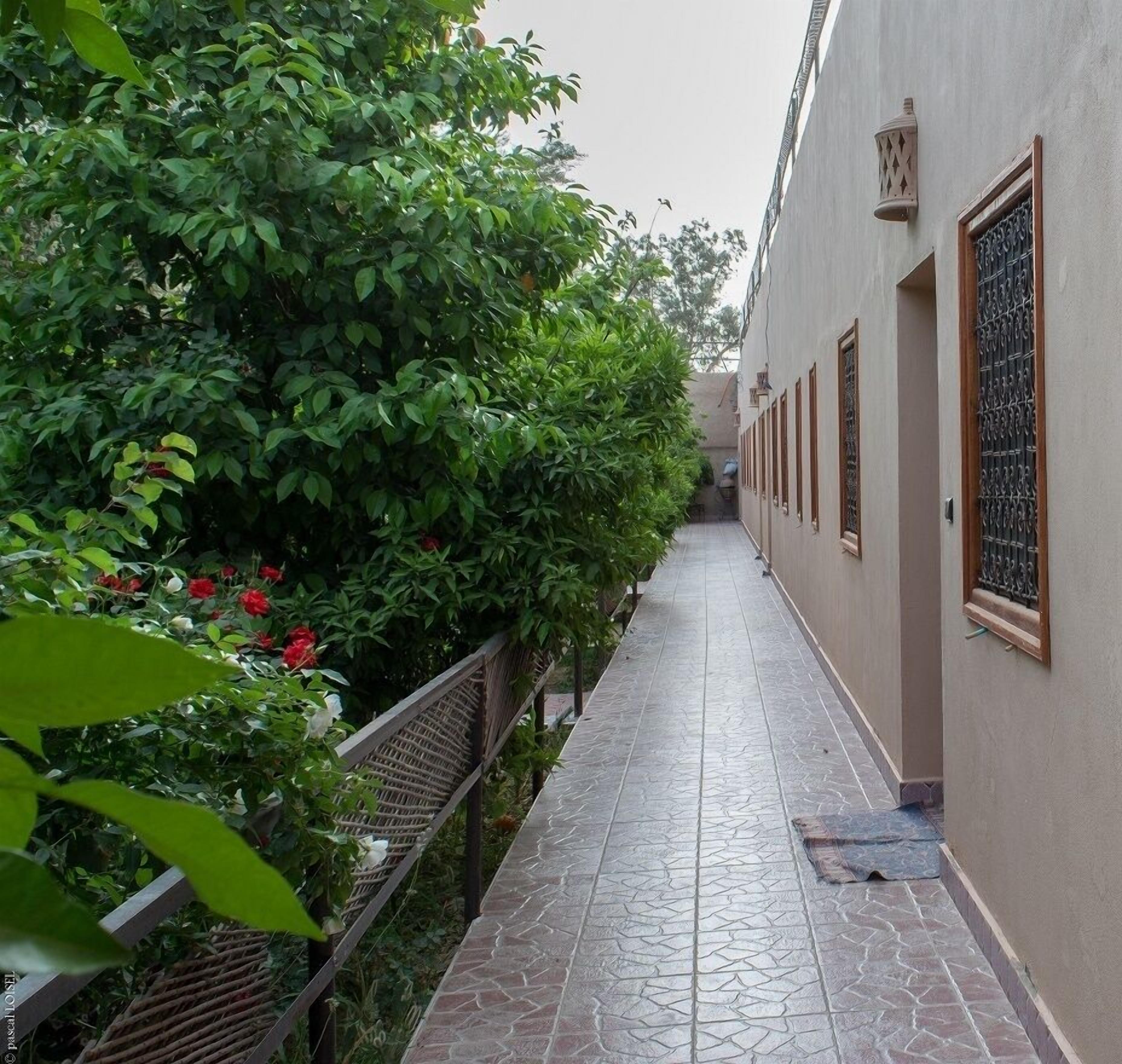 Um caminho estreito e pavimentado, ladeado por vegetação exuberante e um edifício com várias janelas e um lanternim decorativo.