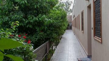 Um caminho estreito e pavimentado, ladeado por vegetação exuberante e um edifício com várias janelas e um lanternim decorativo.