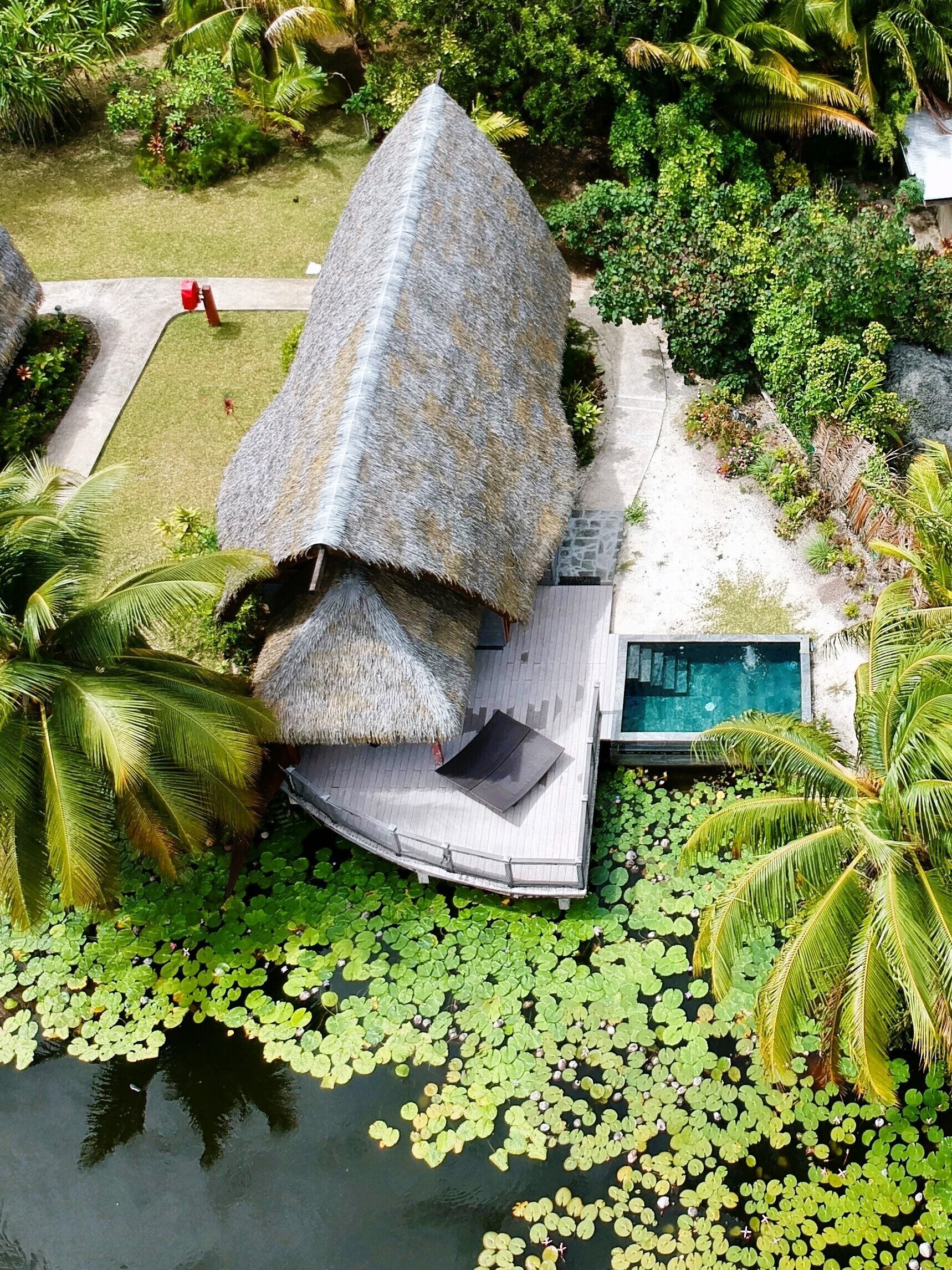Uma estrutura com telhado de palha, piscina e nenúfares.