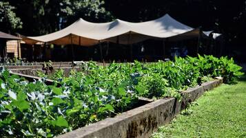 Um jardim com canteiros elevados e uma fileira de tendas ao fundo.