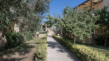 Vista para o jardim