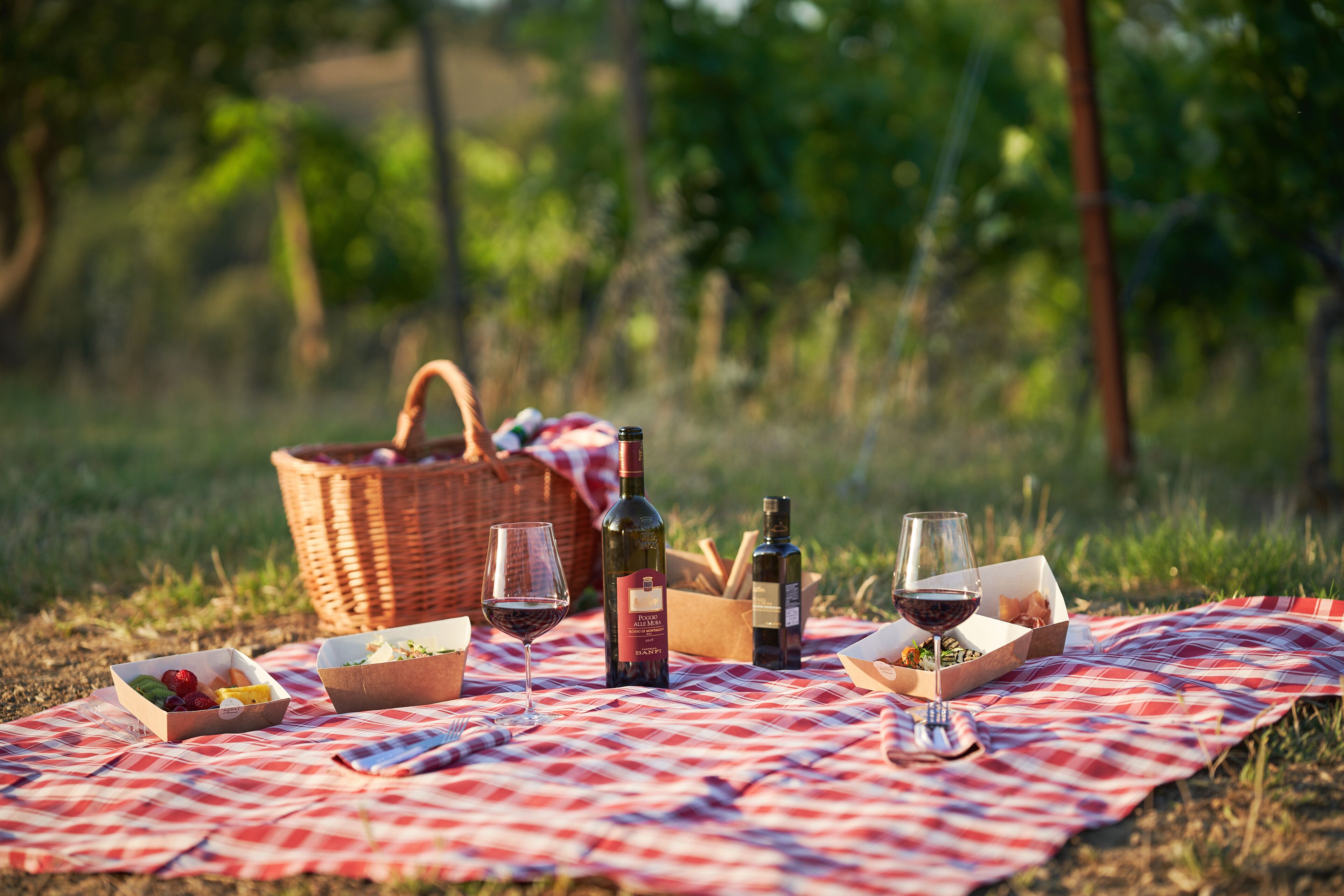 Montagem de piquenique com toalha xadrez, garrafas de vinho, copos e recipientes com comida em ambiente externo.