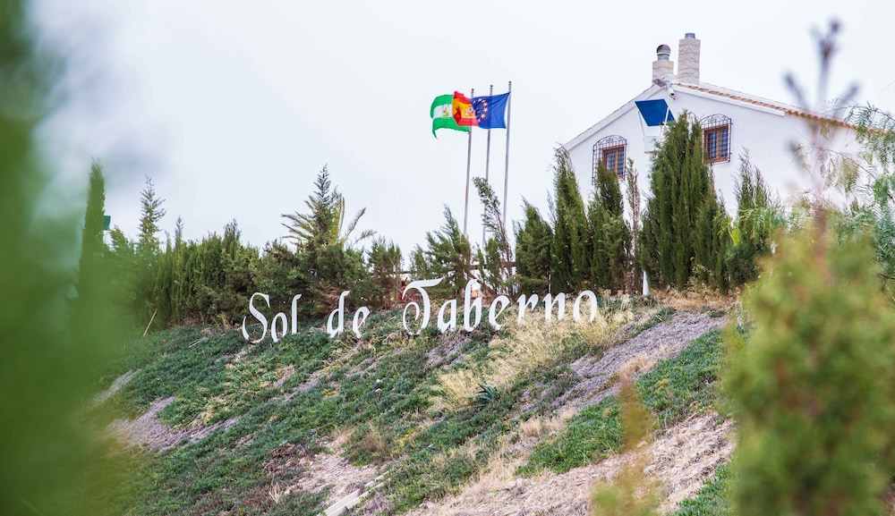 Sol De Taberno - Andalucía