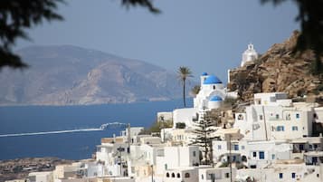 Suite-Estúdio Deluxe | Terraço/pátio interior