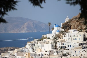 Suite-Estúdio Deluxe | Terraço/pátio interior