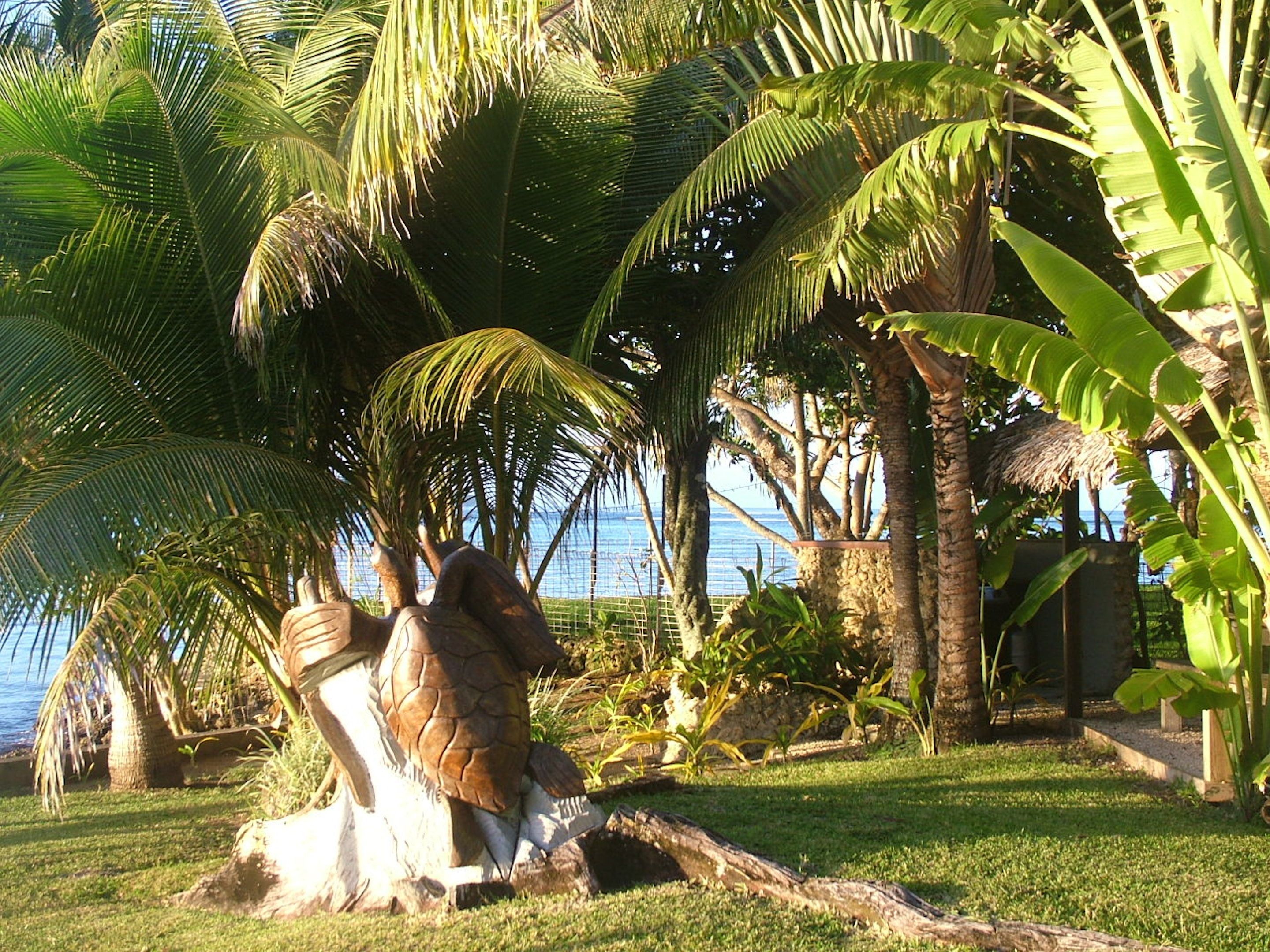 Um jardim tropical com palmeiras, uma escultura grande de tartaruga e vista para o mar.