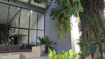 Jardim