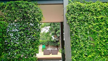 Jardim