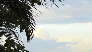 Vista do oceano com uma praia ao primeiro plano, parcialmente coberta por vegetação.