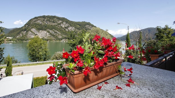 Varanda com vaso de flores com vista para um lago e montanhas.