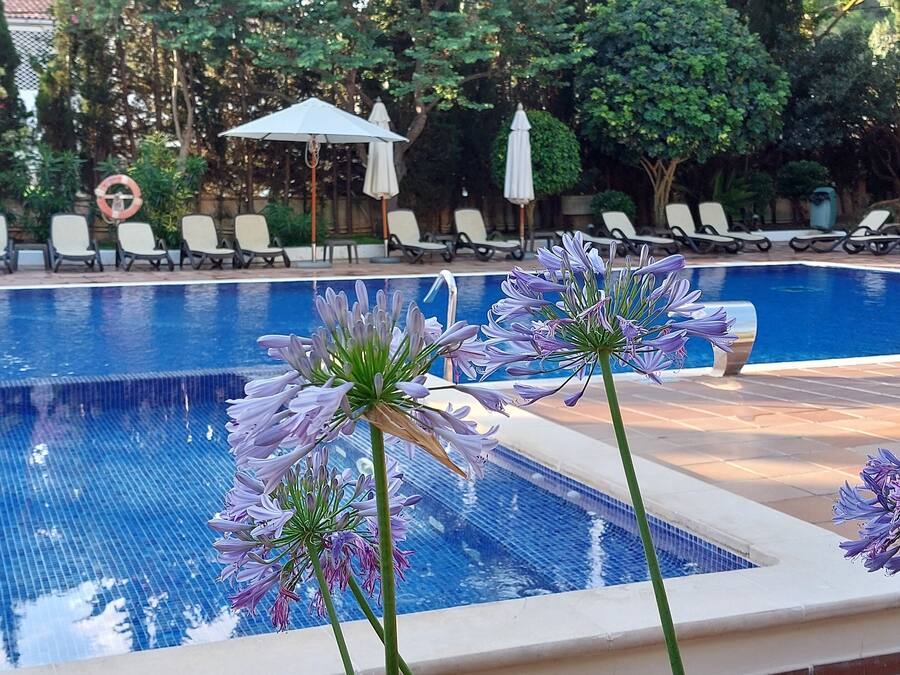 Piscina exterior, guarda-sóis, espreguiçadeiras