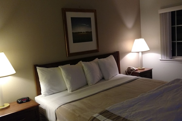 Suite, 1 cama king-size, cozinha | Vista do quarto