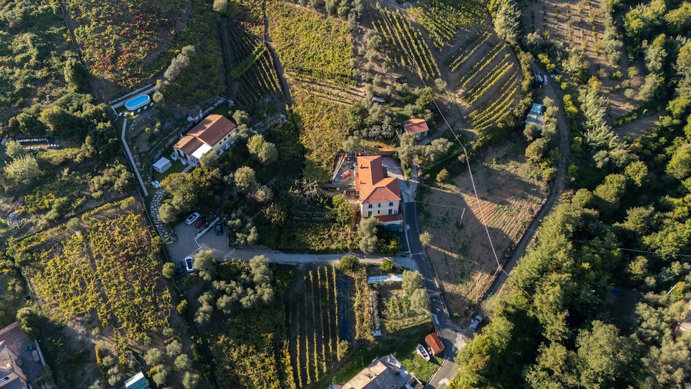 Agriturismo La Collina Verde - Levanto