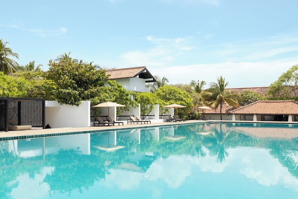 Piscina exterior, guarda-sóis, espreguiçadeiras