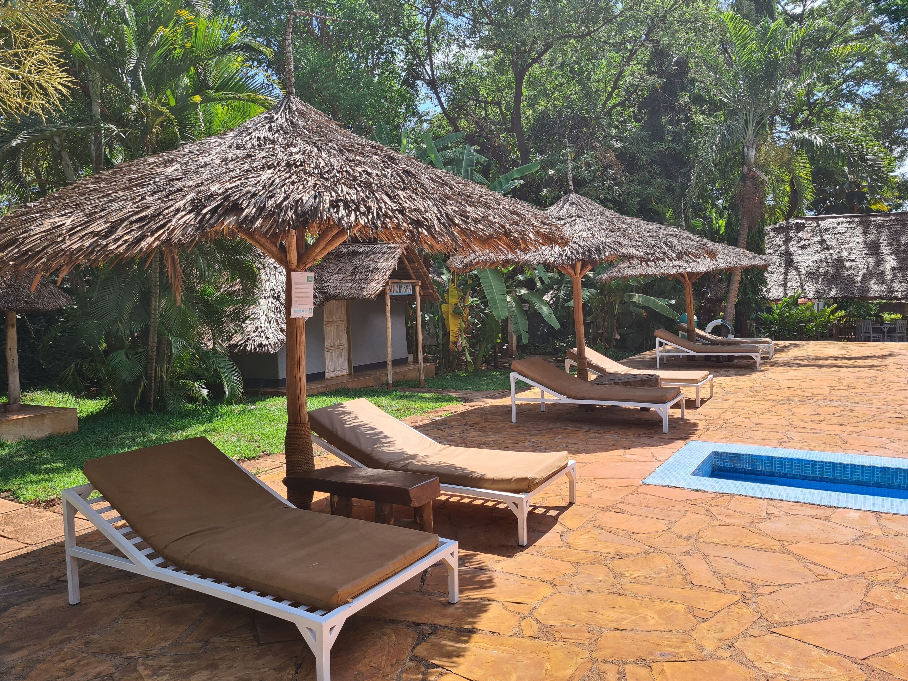 Uma área à beira da piscina com espreguiçadeiras e guarda-sóis de palha, cercada por vegetação exuberante.