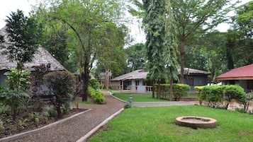 Jardim