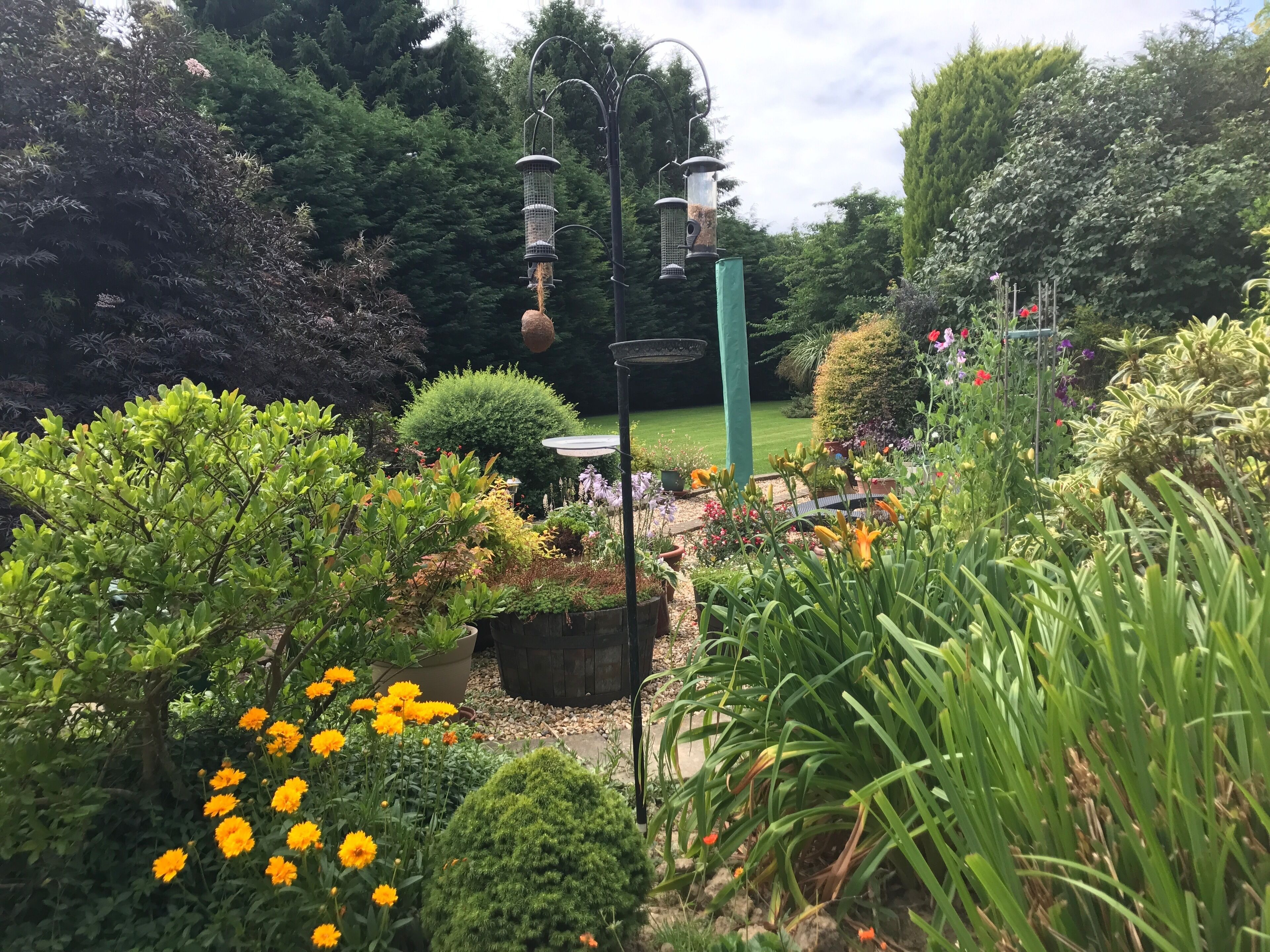 Um jardim com diversas plantas e flores, um comedouro para pássaros e um pilar verde.