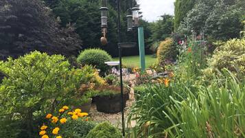 Um jardim com diversas plantas e flores, um comedouro para pássaros e um pilar verde.